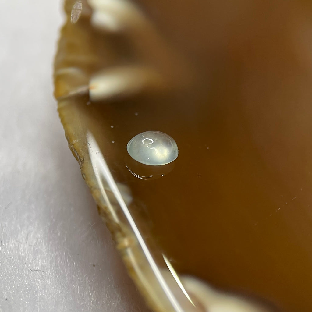 Type A Icy Light Green Jade Jadeite Cabochon for Setting - 0.55ct 4.6 by 3.7 by 2.4mm | Huangs ...