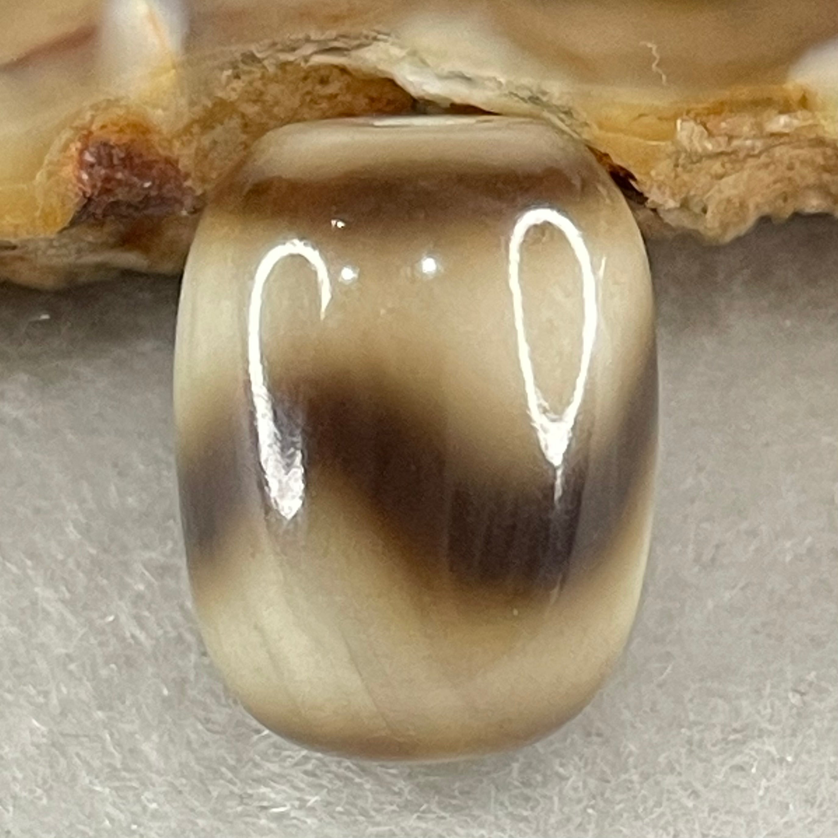 Natural Powerful Tibetan Old Oily Agate Tiger Tooth Daluo Dzi Bead Hea